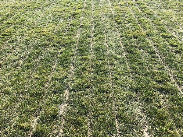 Sports Turf Solutions: The SandMaster - Advanced Turf Solutions