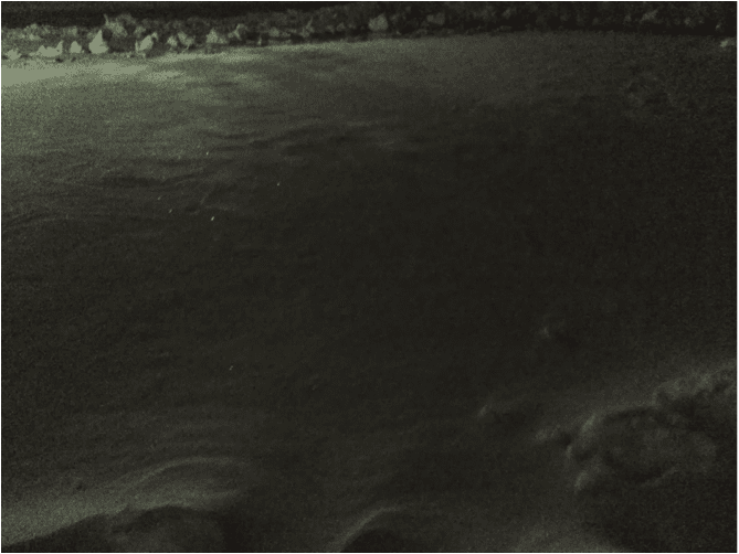 Snow Cover: How Does It Effect Soil Temps? - Advanced Turf Solutions