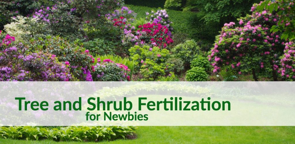 Audio Blog: Tree and Shrub Fertilization - Advanced Turf Solutions