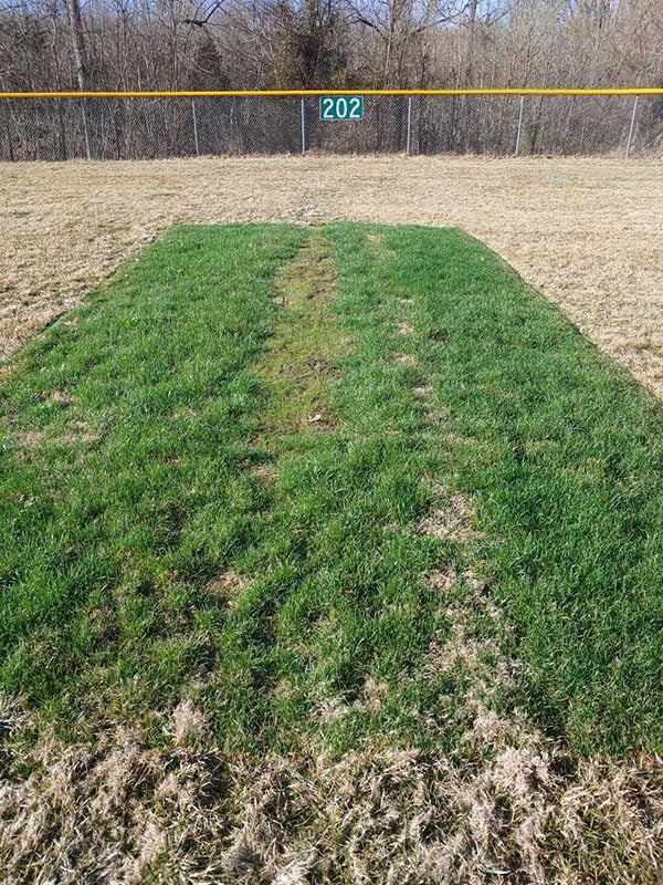 Grow Tarps: The Essential Tool for Growing Warm-Season Grass in the ...