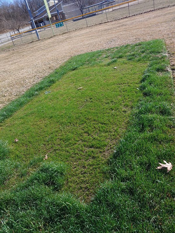 Grow Tarps: The Essential Tool for Growing Warm-Season Grass in the ...