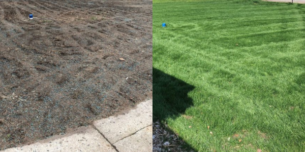 Foliar-Pak Grow-In: Easy, All-In-One Establishment - Advanced Turf ...