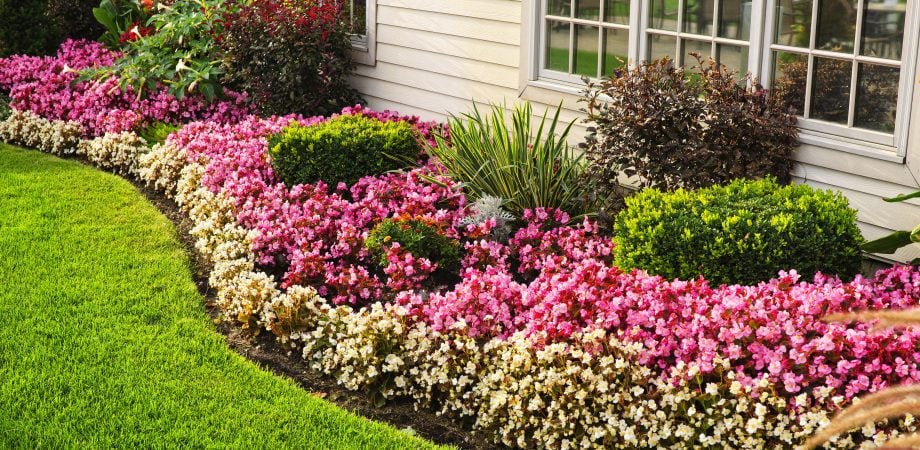 Advanced Turf Solutions | Turf and Ornamental Products