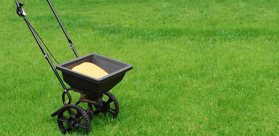 Dormant Seeding on Athletic Fields - Advanced Turf Solutions
