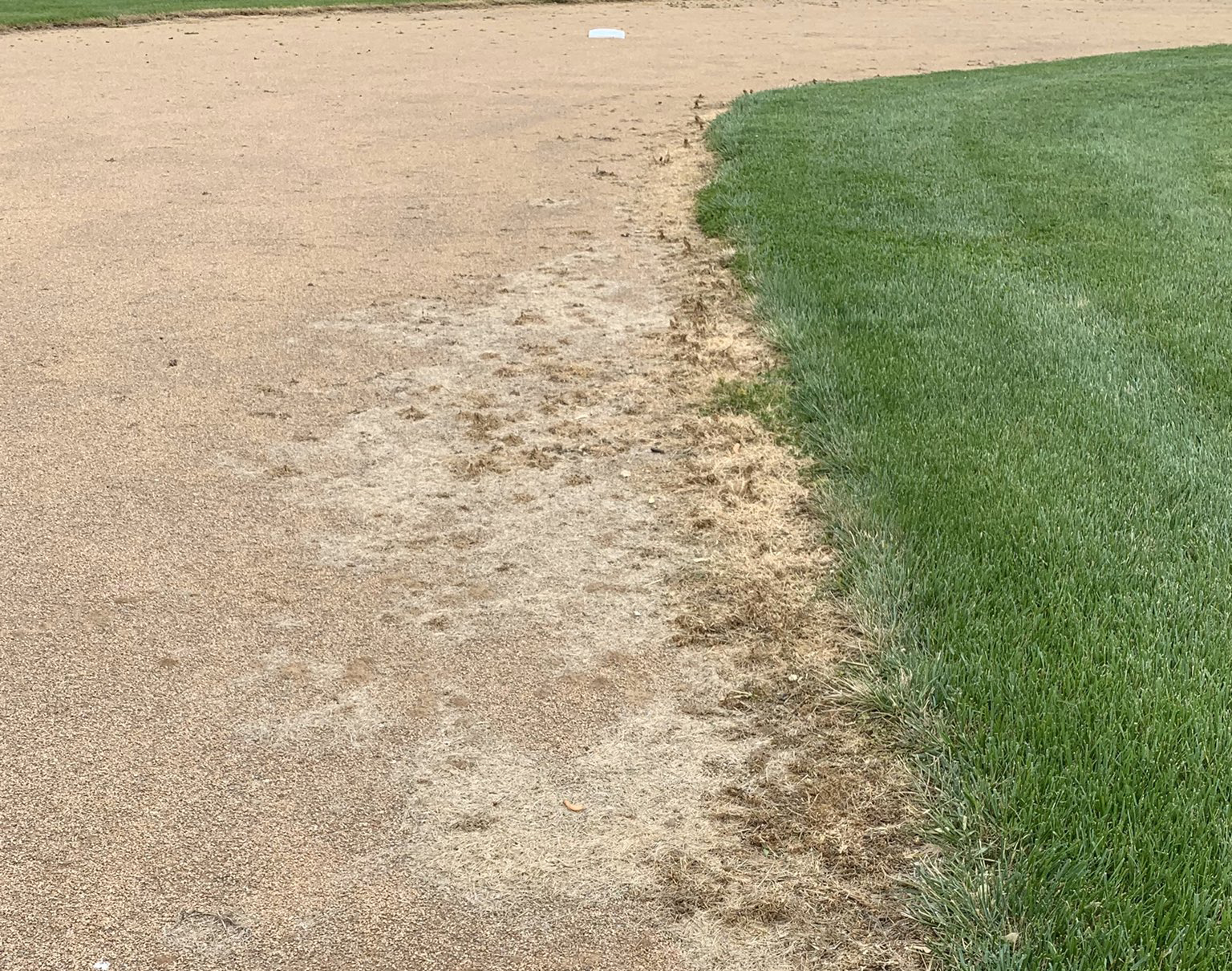 Make the Most Out of In-Season Edging - Advanced Turf Solutions