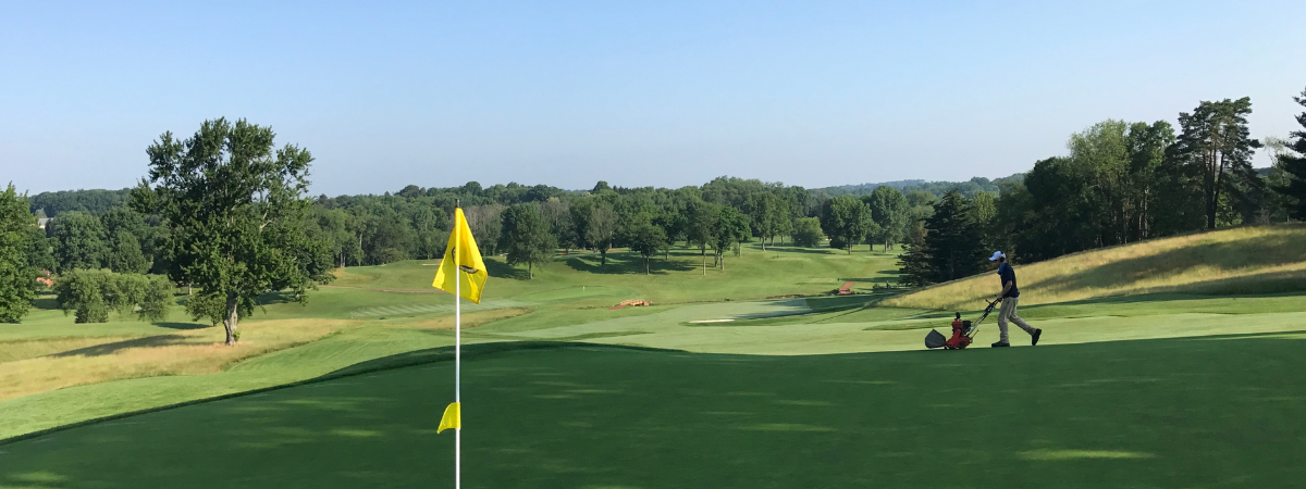 Poa annua Greens: Summer Issues and Solutions - Advanced Turf Solutions