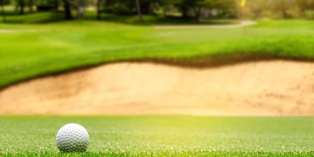 Turf-Type Tall Fescue - Advanced Turf Solutions