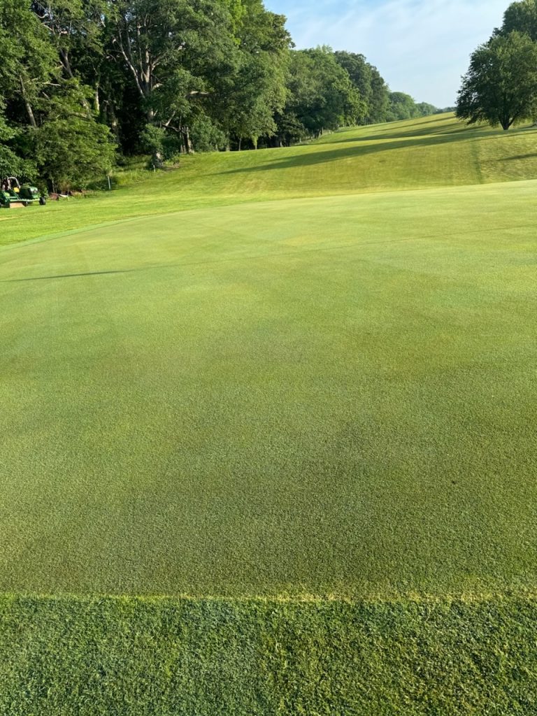 Using Golf Course Wetting Agents - Advanced Turf Solutions