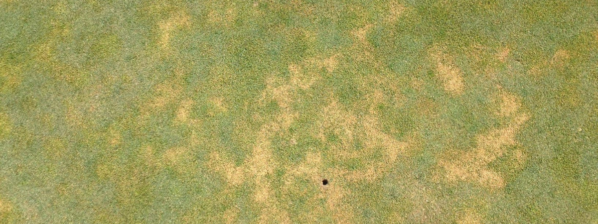 Advanced Turf Solutions | Turf and Ornamental Products