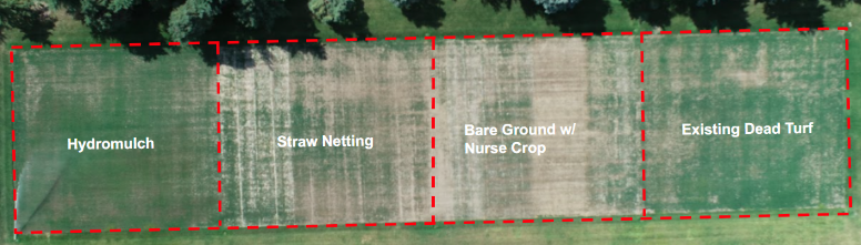 ProVista Kentucky Bluegrass Seeding - Advanced Turf Solutions