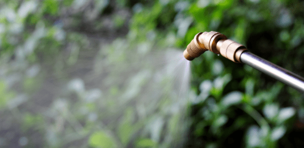 Reseeding Times After Herbicide Applications - Advanced Turf Solutions