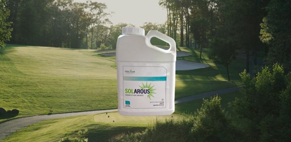 Achieve Brilliant Color and High UV Reflection With Solarous - Advanced ...