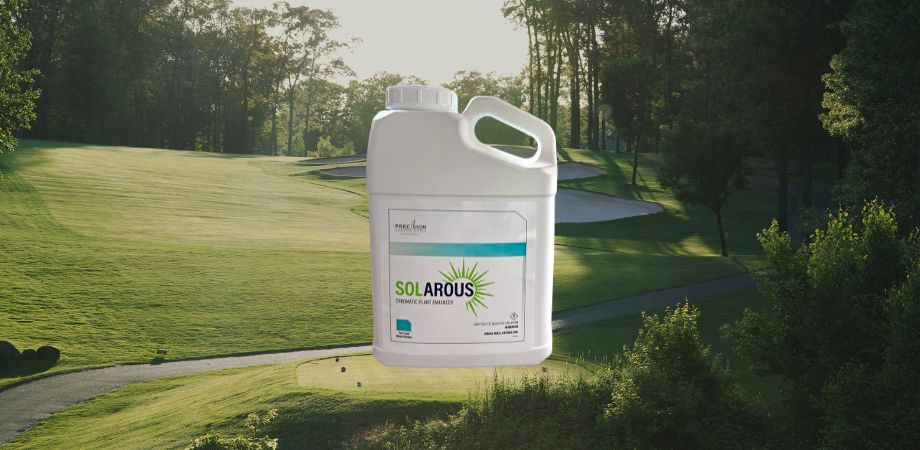 Achieve Brilliant Color and High UV Reflection With Solarous - Advanced ...