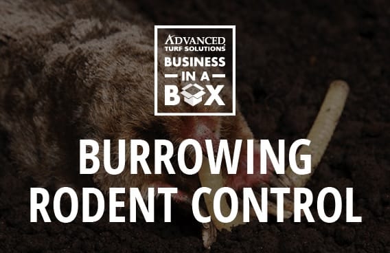 Expand Your Lawn Care Business with Burrowing Rodent Control Services