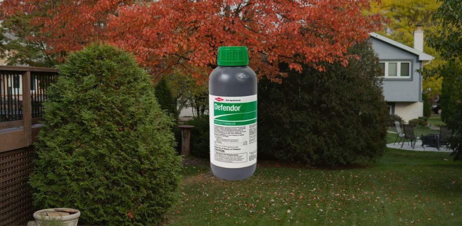 Maximize Late Fall Weed Control with Defendor® Specialty Herbicide ...