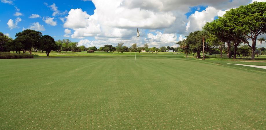 Advanced Turf Solutions | Turf and Ornamental Products