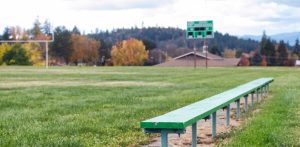 Your Guide to Baseball Infield Conditioner - Advanced Turf Solutions