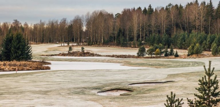 Weed Control on Golf Course Ornamentals, Roughs, and Hardscapes (2025 ...