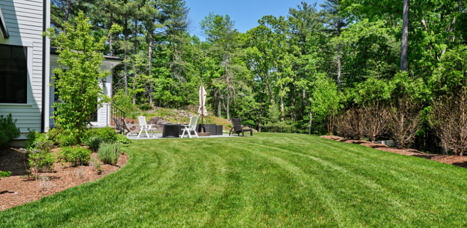 Turfgrass Crown Diseases - Advanced Turf Solutions