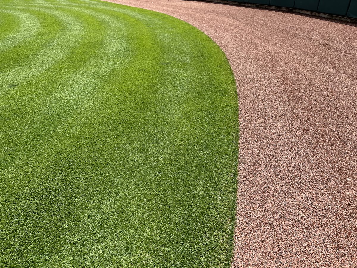 How Hammons Field Stays Ahead of the Game - Advanced Turf Solutions