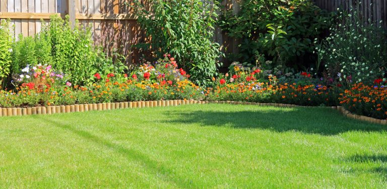 Turf-Type Tall Fescue - Advanced Turf Solutions