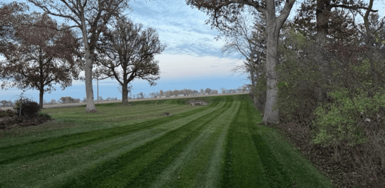 Turf-Type Tall Fescue - Advanced Turf Solutions