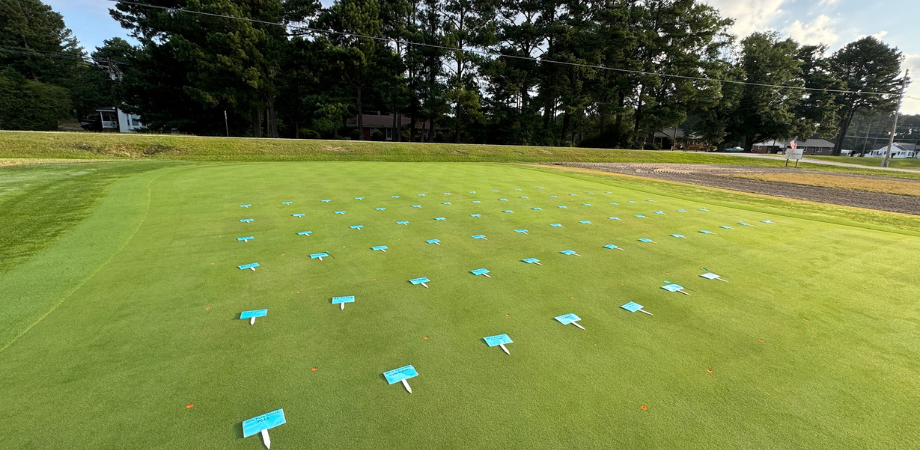 Keys to Developing Top Bentgrass Varieties - Advanced Turf Solutions
